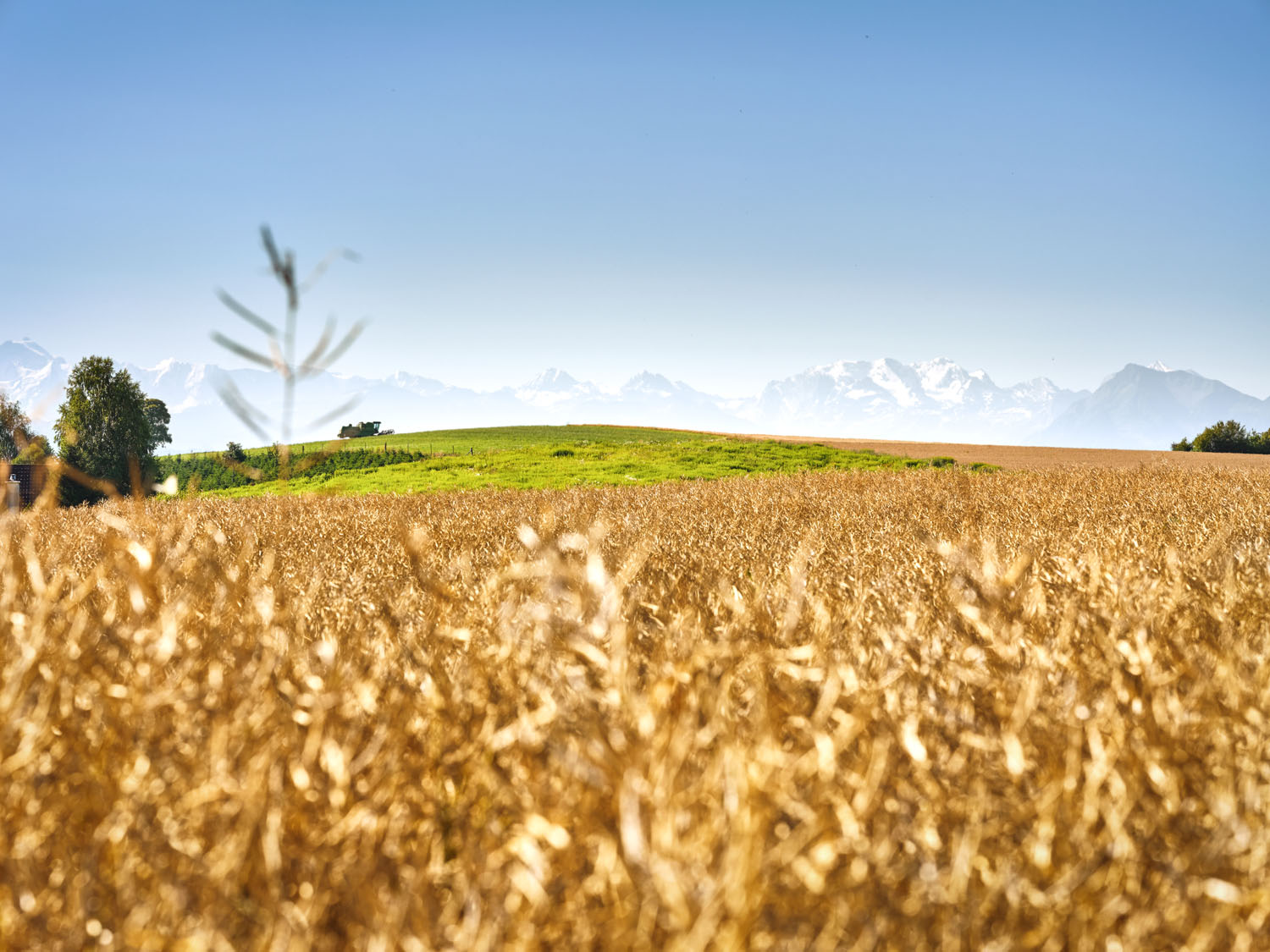 Home | Schweizer Raps